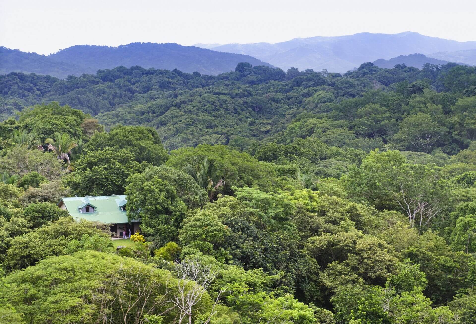 Costa Rica Nature Gallery | Hacienda Barrigona Images