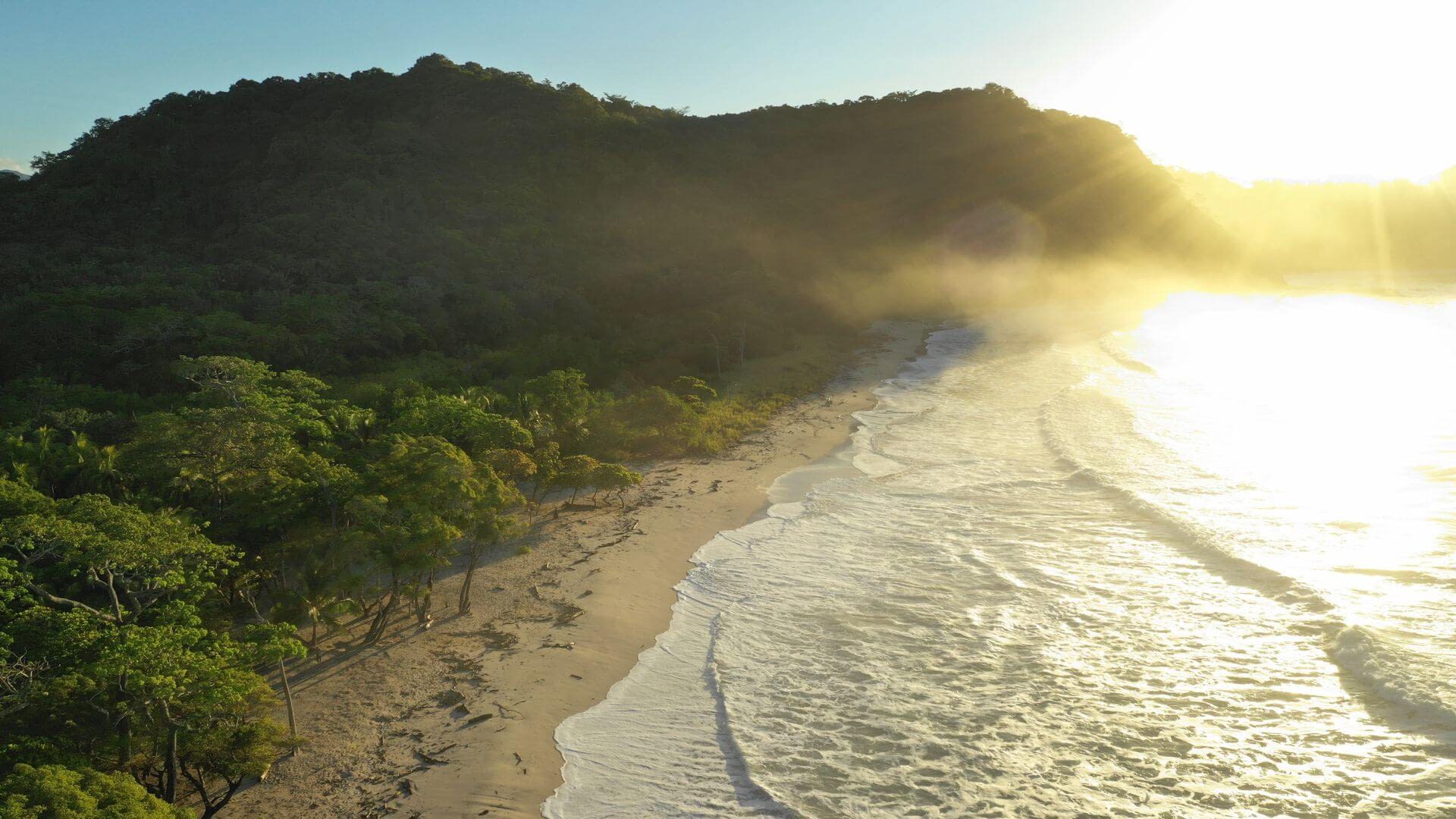 Costa Rica Nature Gallery | Hacienda Barrigona Images